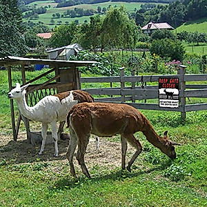 MuaToo Warning Sign Goats -‘Keep the Gate Closed No Matter What the Goats Say',8x12inch Tin Sign Funny Novetly Caution Sign Goats Metal for Farmhouse Fence House Wall Gate