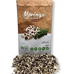 Organic Moringa Seeds | 1000 Seeds Approx.| Premium Quality | PKM1 Variety | Edible | Planting | Moringa Oleifera| Malunggay | Semillas De Moringa | Drumstick Tree | Non-GMO | Product from India