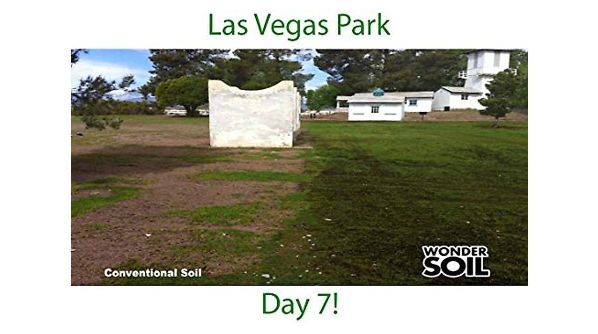 Grow Greener, Thicker Lawns with Premium Coir Top Dressing