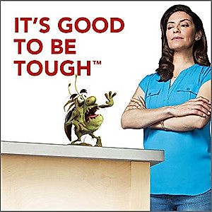 Raid 649023 Ant & Roach Killer, Red