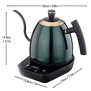Easyworkz Electric Gooseneck Pour Over Coffee Kettle, Stainless Steel Hand Drip Tea Pot 27 Ounce Temperature Control 1200W Quick Heating