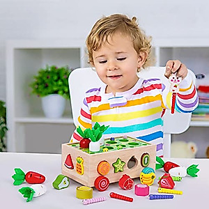 Toddlers Montessori Wooden Educational Toys for Baby Boys Girls Age 2 3 4 Year Old, Shape Sorting Toys Gifts for Kids 2-4, Wood Preschool Learning Fine Motor Skills Game