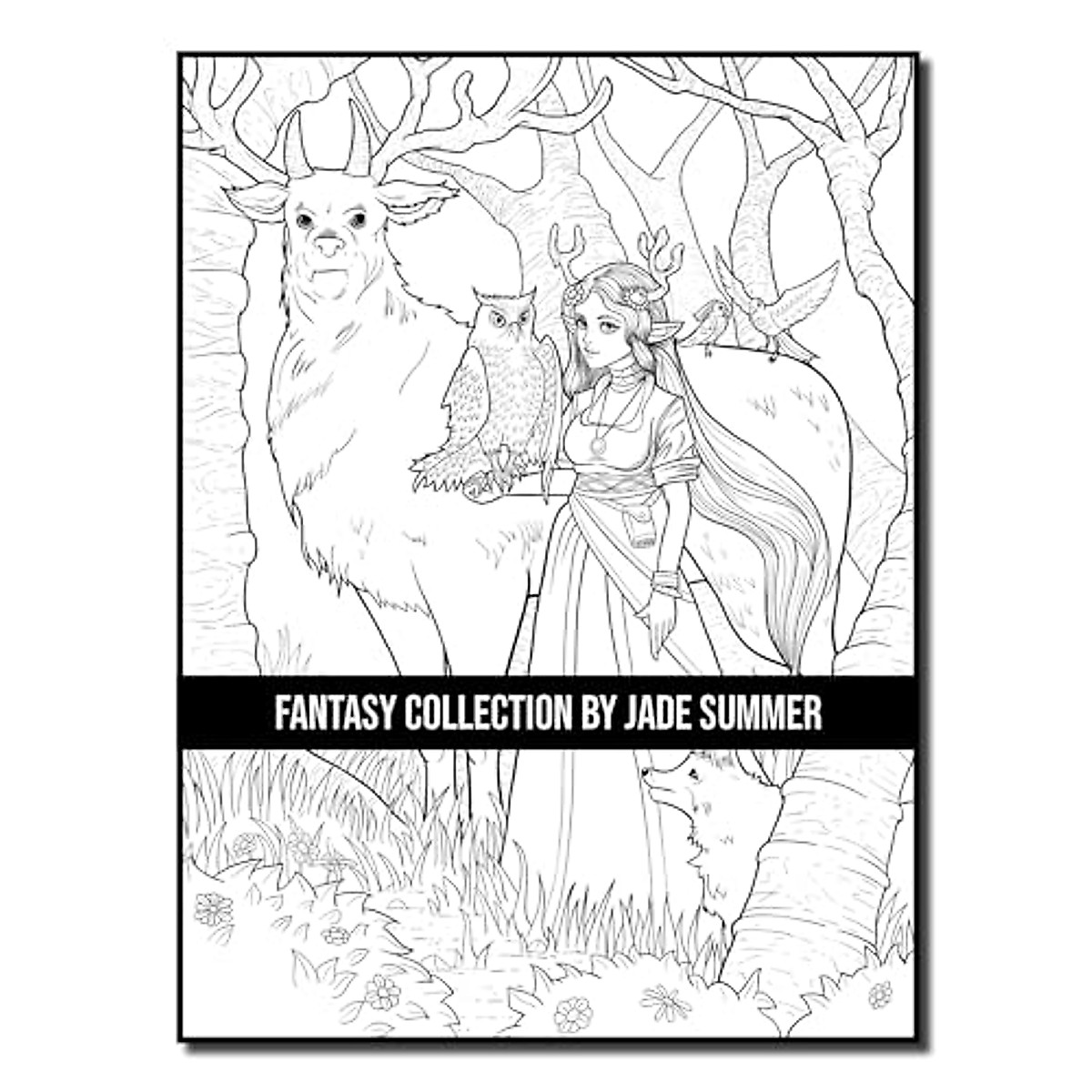 Fantasy Collection: An Adult Coloring Book with 100+ Incredible Coloring Pages of Mermaids, Fairies, Vampires, Dragons, and More!