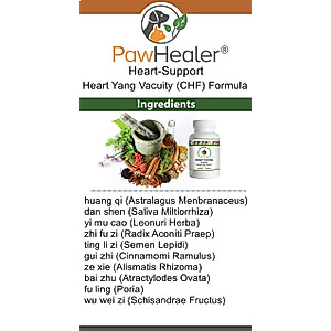 Heart Support - Heart-Yang Vacuity (CHF) - Coughing, Gagging, Wheezing Due to Heart Condition - 100 Grams-Herbal Powder-Remedy for Dogs & Pets