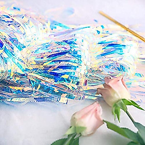 LILF Gorgeous Holographic Iridescent Fringe Curtain - 2 Pack of 8.3ft x 3.3ft Tinsel Streamer for Wedding Birthday Party Bridal/Baby Shower Christmas Photo Booth Backdrop Decoration