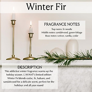 L'AVANT Collective Green Candle | Winter Fir Scented | Non-Toxic & Paraffin Free | Notes of Cedar, Fir, Balsam, Sandalwood | 40 Hours of Burn Time | Long Lasting | Home Decor Aromatherapy Gifts 8oz