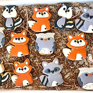 KAISHANE 5PCS Animal Cookie Cutter Set - Fox Owl Raccoon Squirrel Forest Woodland Animal Cookie Cutters Molds for Kids