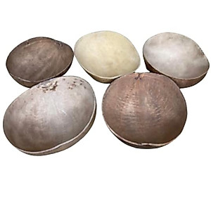 Jícara de Santería Auténtica para Ofrendas y Ritualidades Sagrados