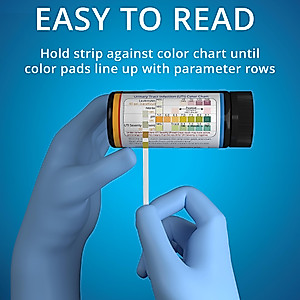 4-in-1 Full Panel UTI Test Strips for Women, Men & Kids with UTI Severity (Protein), Urinalysis Urine Test Strips for Bladder and Urinary Tract Infections at Home (50 Strips)