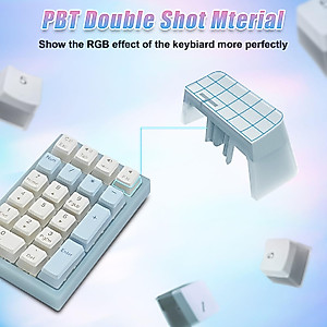 BOYI TD21 HotSwap Mechanical Numeric Keypads,21 Keys Mini Numpad Portable Keypad BT5.0/2.4G/Wired Keyboard RGB Number Pad Wireless Numeric Keypad(Blue Color with OEM Profile Pudding Keycaps)