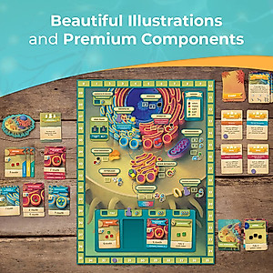 Cytosis: A Cell Biology Board Game | A Science Accurate Strategy Board Game About Building Proteins, Carbohydrates, Enzymes, Organelles, & Membranes | Fun Science Games for Adults & Family Game Night