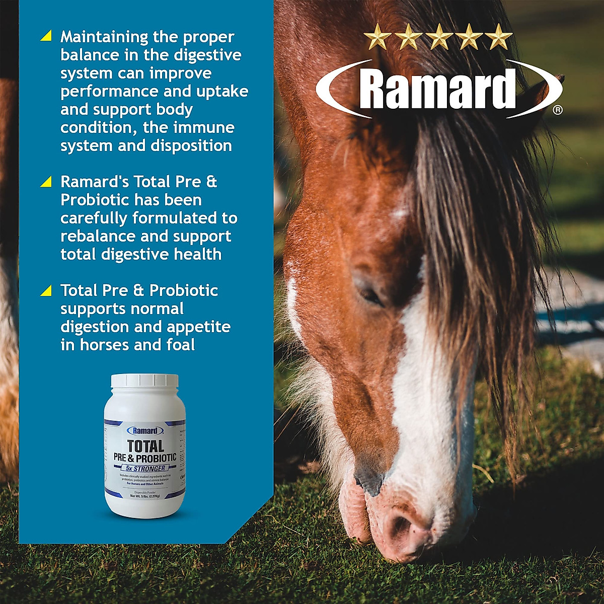 Ramard Total Prebiotic & Probiotic Equine Formula - Natural Digestive Supplement for Horses Optimal Gut Health, Nutrient Absorption, Foal Support Pro & Pre Biotics for Livestocks and Horse 5 lbs Jar