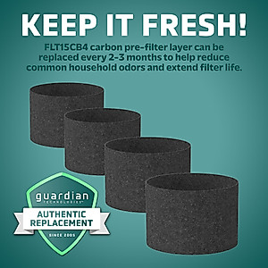 GermGuardian Filter V HEPA Pure Genuine Air Purifier Replacement Filter, Removes 99.97% of Pollutants for Models AC3000W, AC3000B, AC3050, AP3151 and AC151, Black/Yellow, FLT151