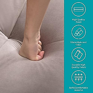 BALUS Loveseat Sofa, Convertible Sofa Bed with Side Pockets, 2 Seater Small Sleeper Sofa, Pull Out Couch for Living Room/Bedroom, Light Gray