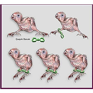 Fit Fly Splayed Leg Treatment Bracelet Bird Canary Finch Bands Leg Rings 3 mm