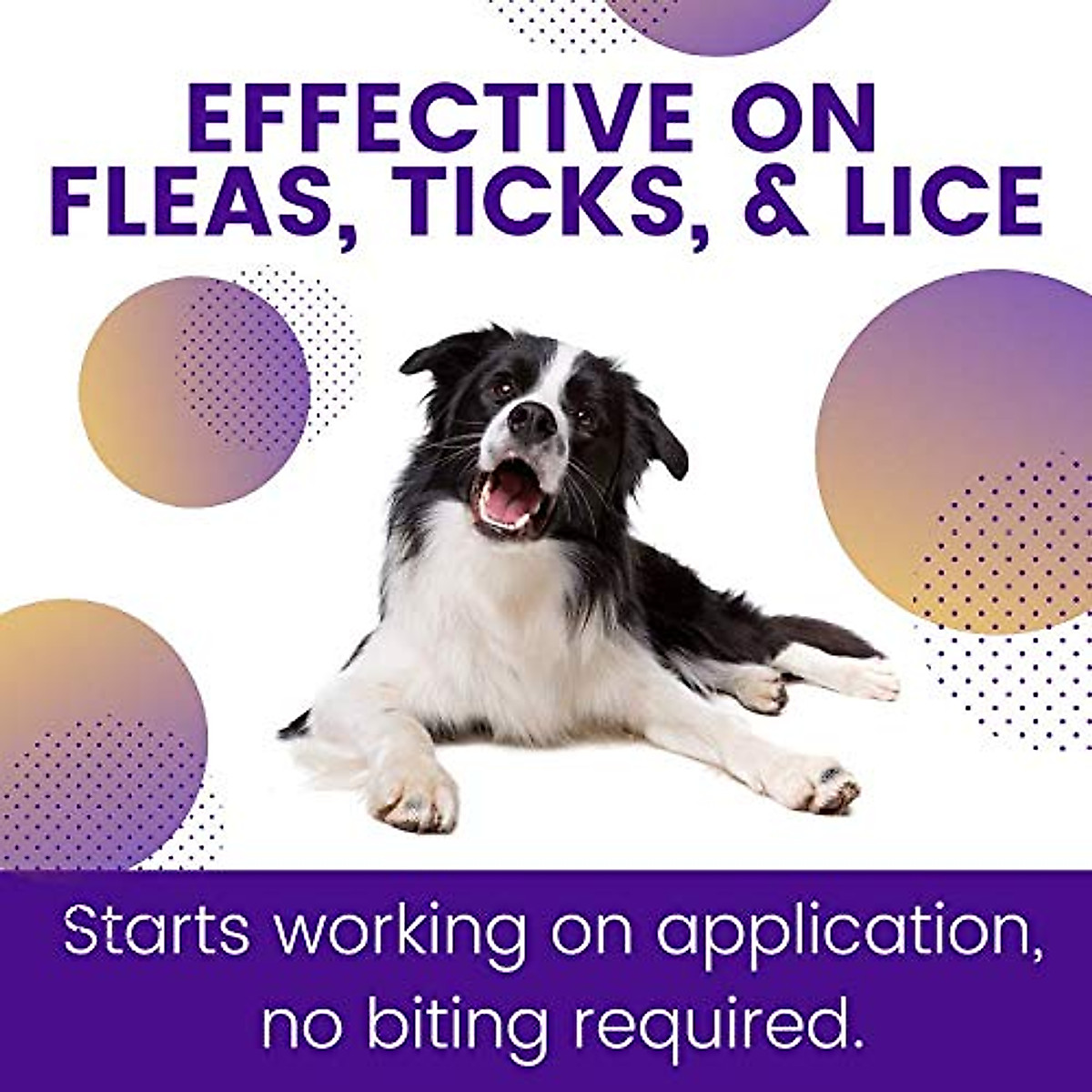 ZoGuard Plus Flea and Tick Prevention for Dogs (Medium - 23-44 lb)