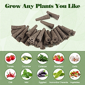 AFFLAT Hydroponics Grow Sponges,Replacement Root Growth Sponges Seed Pods Used with Hydropnics Garden,Seed Starter Sponges Kit for Hydroponic Indoor Garden System (50 Packs)