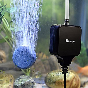 AsiaPPump Aquarium Air Pump Quietest Energy Saving 1-1.5W 24-40 Gallon (Black Square)
