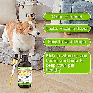 Liquid Collagen for Dogs and Cats, Skin and Coat Supplement for Dogs and Cats, Lustrous Coat, Vibrant Skin, Supplementary Nutrition, Improve Immunity, with Vitamin and Biotin