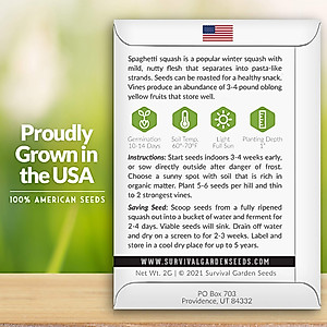 Survival Garden Seeds - Spaghetti Squash Seed for Planting - Packet with Instructions to Plant and Grow Low Carb Healthy Winter Squash in Your Home Vegetable Garden - Non-GMO Heirloom Variety