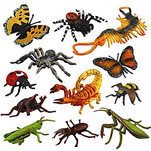 Toymany 12PCS Realistic Bugs Figures Toys - Plastic Insects Figurines Set with Bee Beetle Mantis Spider Ladybug Butterfly Scorpion - Halloween Party Favor School Project Gift for Kids Toddlers