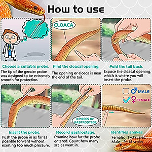 Antidious Snake Probes Kit，Snake Sexing Probing Gender Probes with Round Tip and Naturally Hypoallergenic Metal, Snake Gender Probes Tool Let You Know if You Snake is Boy or Girl.