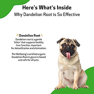 Pet Wellbeing Dandelion Root for Dogs - Liver & Heart Health, Digestive Function, Blood Sugar Support, Certified Organic - Veterinarian-Formulated Herbal Supplement 2 oz (59 ml)
