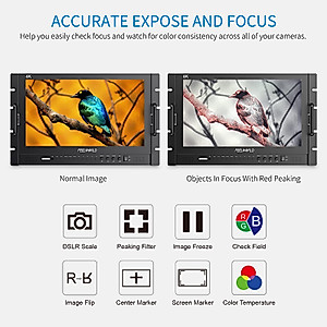 FEELWORLD P173-9HSD-RM 7RU 17.3 Inch Rack Mount Broadcast LCD Director Monitor with Full HD 1920×1080 3G-SDI HDMI YPbPr Input and Output