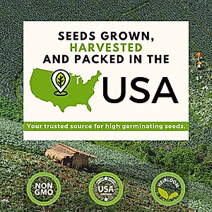 Medicinal Herb Seeds Collection | 6 Heirloom Tea Seeds | Non GMO Lavender, Chamomile, Mint Seeds for Planting Outdoors & Indoors - Lemon Balm, Peppermint, Echinacea | Gardening Gifts for Women & Men