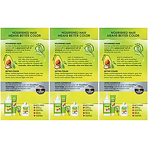 Garnier Hair Color Nutrisse Ultra Coverage Nourishing Creme, 200 Deep Soft Black (Black Sesame) Permanent Hair Dye, 3 Count (Packaging May Vary)