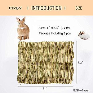 PINVNBY Rabbit Mat for Cages Woven Bunny Grass Bed Nest Chew Toy Bed for Hamsters Parrot Hedgehog Guinea Pig Bunny and Other Small Animals (12 Pack)