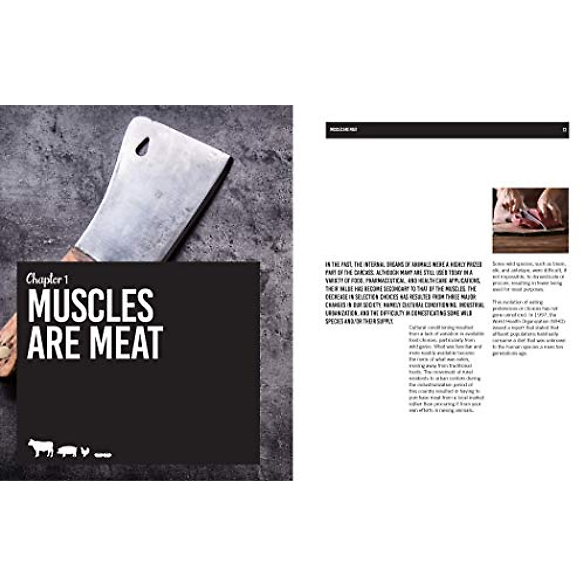 The Ultimate Guide to Butchering, Smoking, Curing, Sausage, and Jerky Making