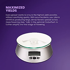 Lotus Nutrients Powdered Plant Nutrients Intro Pack: Grow, Bloom, Boost, and Cal/Mag - w/Nitrogen Calcium and Magnesium - for Hydroponics Coco Coir and Soil - Indoor and Outdoor Plants