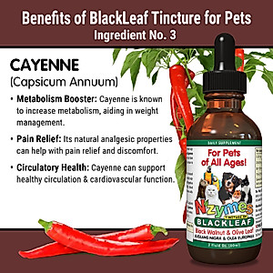 BlackLeaf Tincture for Pets