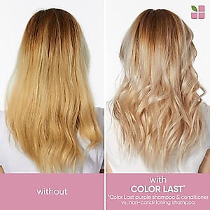 Biolage Color Last Purple Shampoo | Neutralizes Brass & Unwanted Yellow Tones | With Fig & Orchid | Paraben-Free | For Color Treated Hair | Vegan | Cruelty Free | Professional Shampoo | 13.5 Fl. Oz