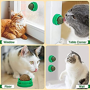 OHALEEP Catnip Ball for Cats Wall, 3 Pack Catnip Toys, Edible Kitty Toys for Cats Lick, Safe Healthy Kitten Chew Toys, Teeth Cleaning Dental Cat Toys, Cat Wall Treats (Grey) (Green)