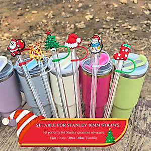 Amreich Christmas Straw Toppers for Stanley Cup 30 40 Oz Tumblers - 6PCs Silione Straw Cover Cap Reusable 10mm Straw Accessories Xmas Gift for Stanley Cup Owner