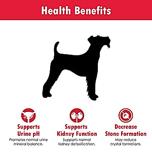 K-Plus Potassium Citrate Plus Cranberry Supplement for Dogs - UTI Remedy Chewable Tablets - Supports Bladder Health - For Every Dog Breed (100 Tabs)