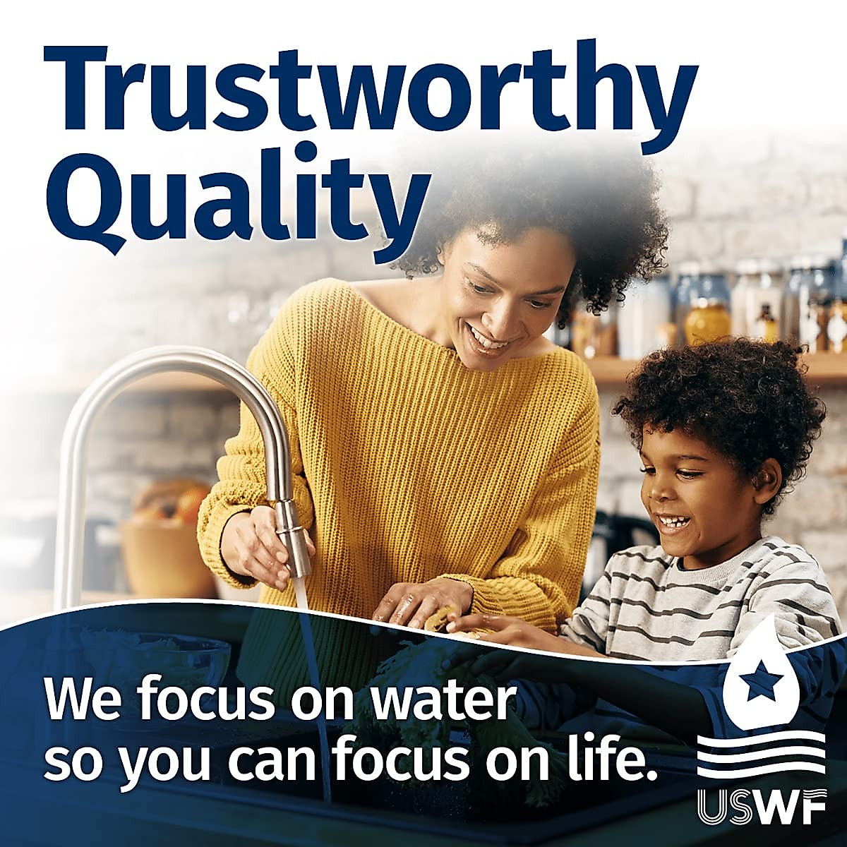 20 Micron 10 Inch x 4.5 Inch | 4-Pack Pleated Polyester Whole House Sediment Cartridge | Compatible with Watts FM-BB-10-20, Pentek S1-BB, Hydronix SPC-45-1020 | Made in the USA, US Water Filters