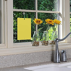 BLACK+DECKER Fruit Fly Traps for Indoors & Fly Traps Outdoor- Gnat Traps for House- Dual- Sided Yellow Mosquito & Fly Trap, 20 Pack Sticky Traps