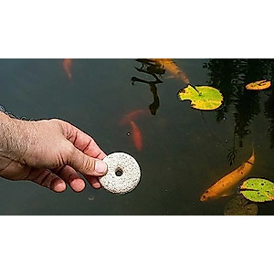 Summit 20-Pack Mosquito Dunk Tablet