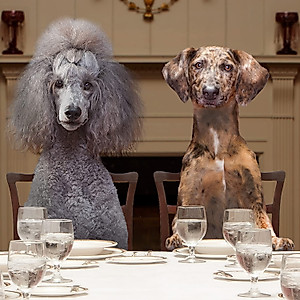 Fromm Gold Dog Food Weight Management (5 Lb)