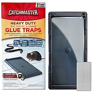 Catchmaster Rat & Mouse Glue Traps with Sticky Putty 2Pk, Large Bulk Glue Rat Traps, Mouse Traps Indoor for Home, Pre-Scented Adhesive Plastic Tray, Snake, Mice, & Spider Traps, Pet Safe Pest Control