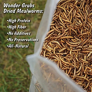 Mann Lake Mealworms Wonder Grubs 5 lb Non-GMO Dried High-Protein Chicken, Wild Bird, Duck, Fish, Reptiles, Tortoise, Amphibians, Lizard, Single