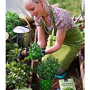 Organic Herb Seeds for Planting, Indoor Outdoor and Hydroponic Garden, incl Basil Cilantro Mint and Dill Seeds, Non GMO and USDA Certified Organic, Gardening Variety Pack