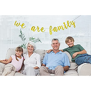 Gold Glitter We are Family Banner, Family Reunion Party Banner, Family Photo Prop, Banner for Family Party Home Decoration - We are Family