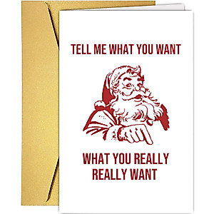 Supoeguk Funny Christmas Card for Men Women, Happy Holiday Card for Friends Family, Cool Santa Card for Him Her, Tell Me What You Really Want
