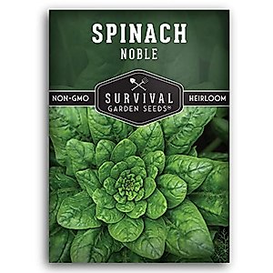 Survival Garden Seeds - Noble Spinach Seed for Planting - Packet with Instructions to Plant and Grow Enormous Spinach Greens in Your Home Vegetable Garden - Non-GMO Heirloom Variety