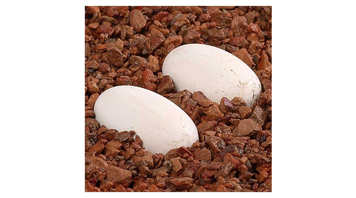 Pangea Hatch Incubation Substrate - Reusable Egg Incubator Medium