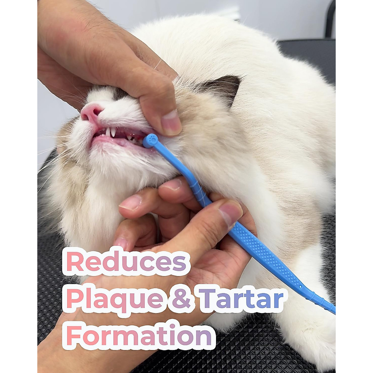 XUEPETT 2 Pcs Dual Sided Cat Toothbrush with Micro Brush Head, Anti-Slip Curved Handle, Cat Dental Care Supplies Eliminates Bad Breath and Reduces Plaque Tartar Formation